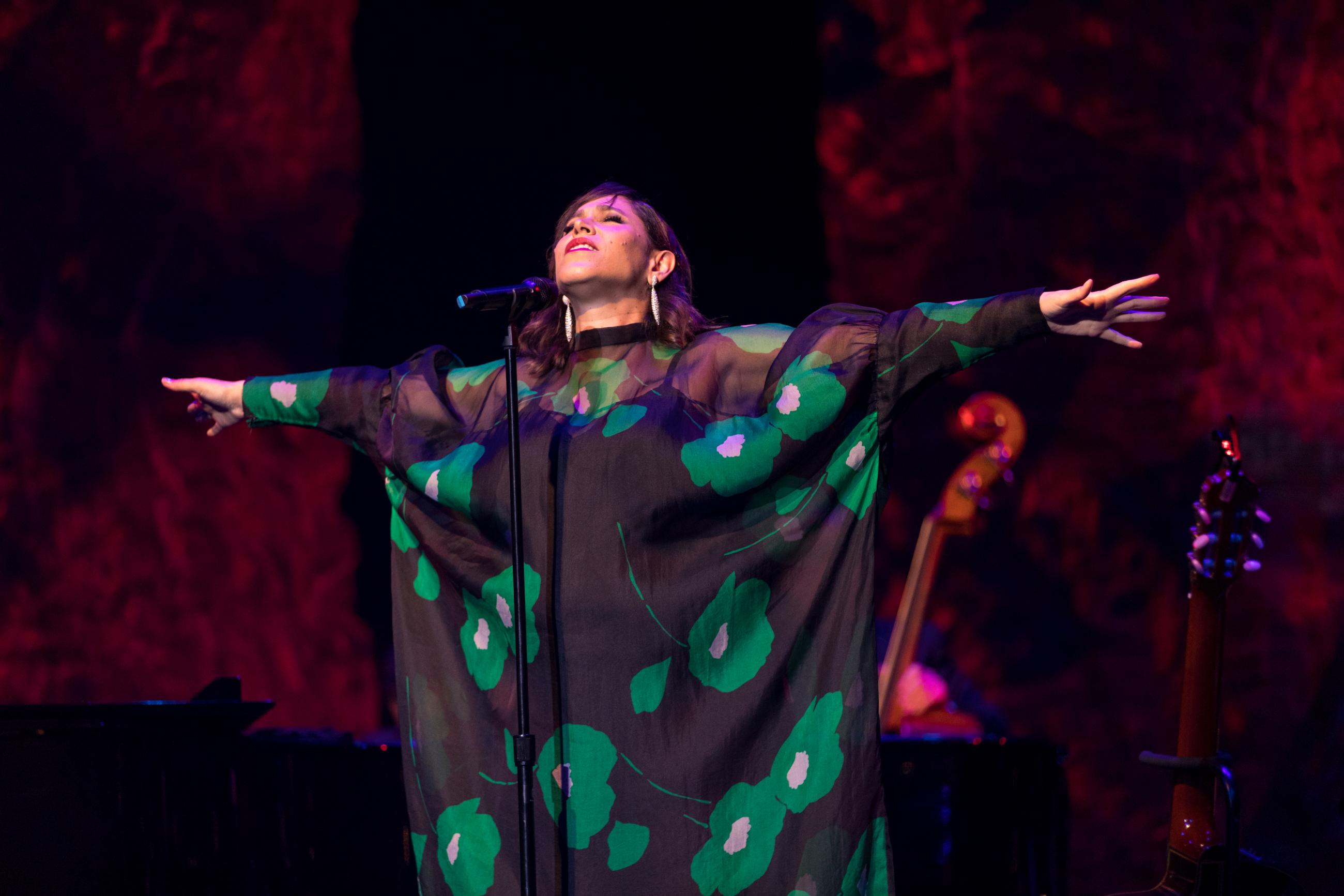 Performance Press Assets | Chandler Center for the Arts